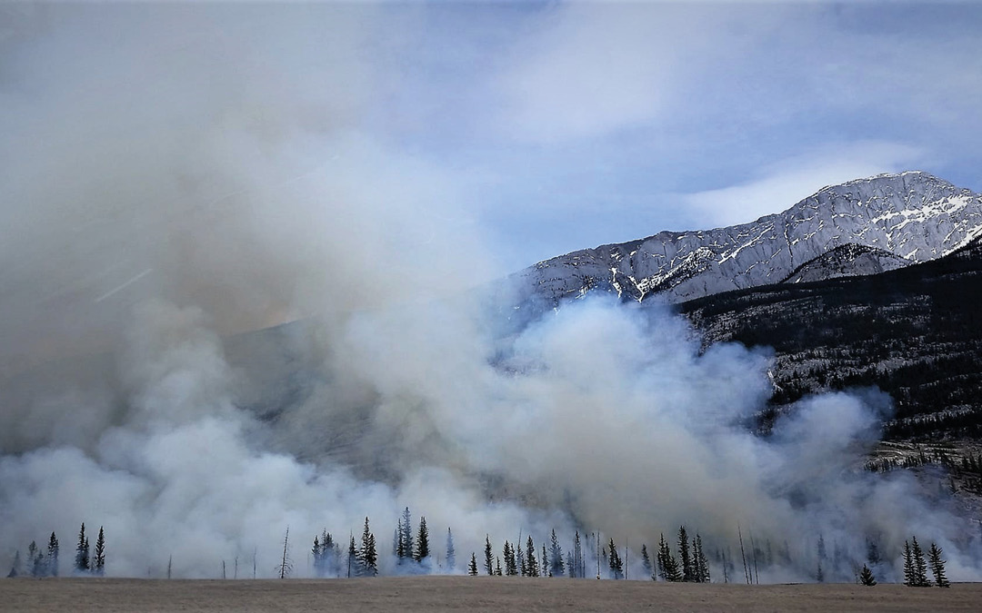 What is smoke taint? | Cult Wines