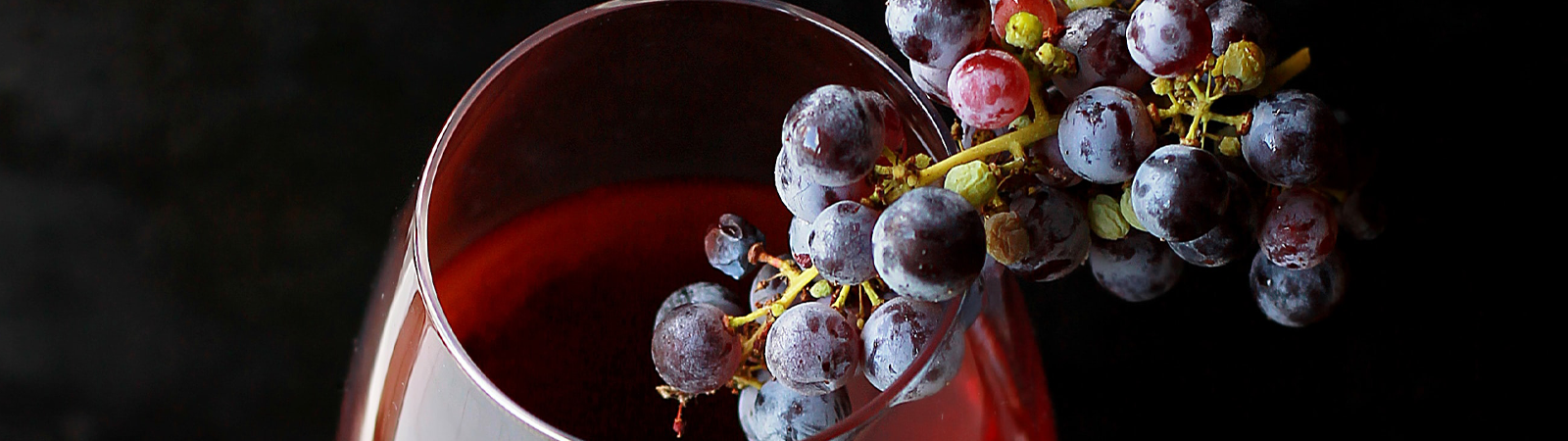 A Guide to Burgundy’s Classification System | Cult Wines United States