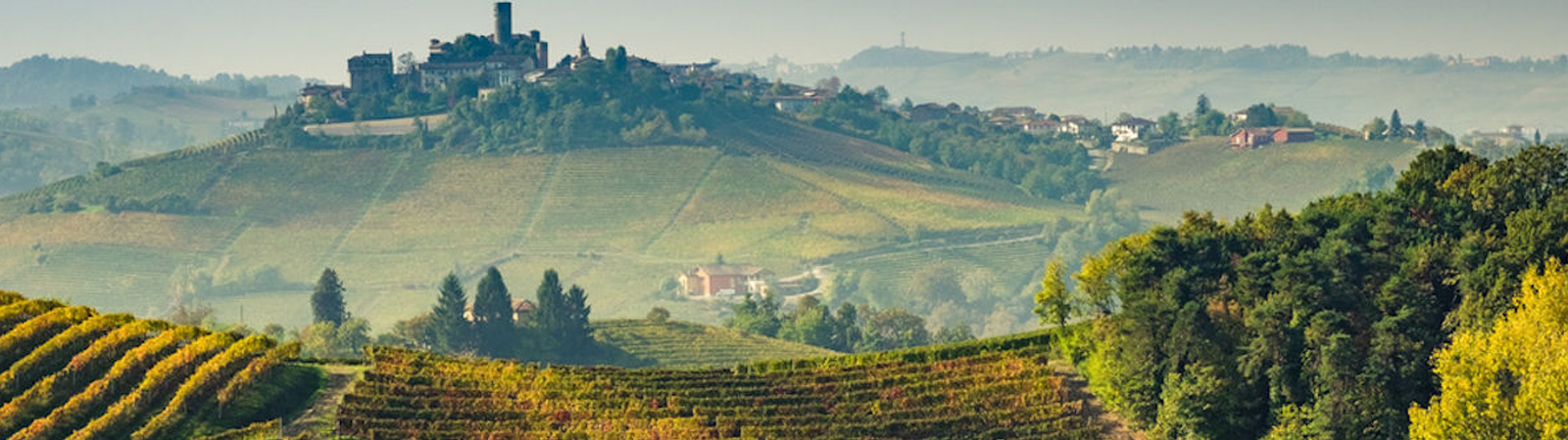 Barolo 2019 Vintage – Could a great vintage ignite regional performance ...