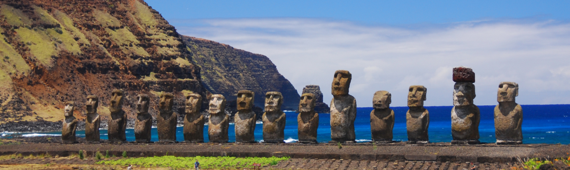 Wine at the Edge of the World | Cult Wines United States