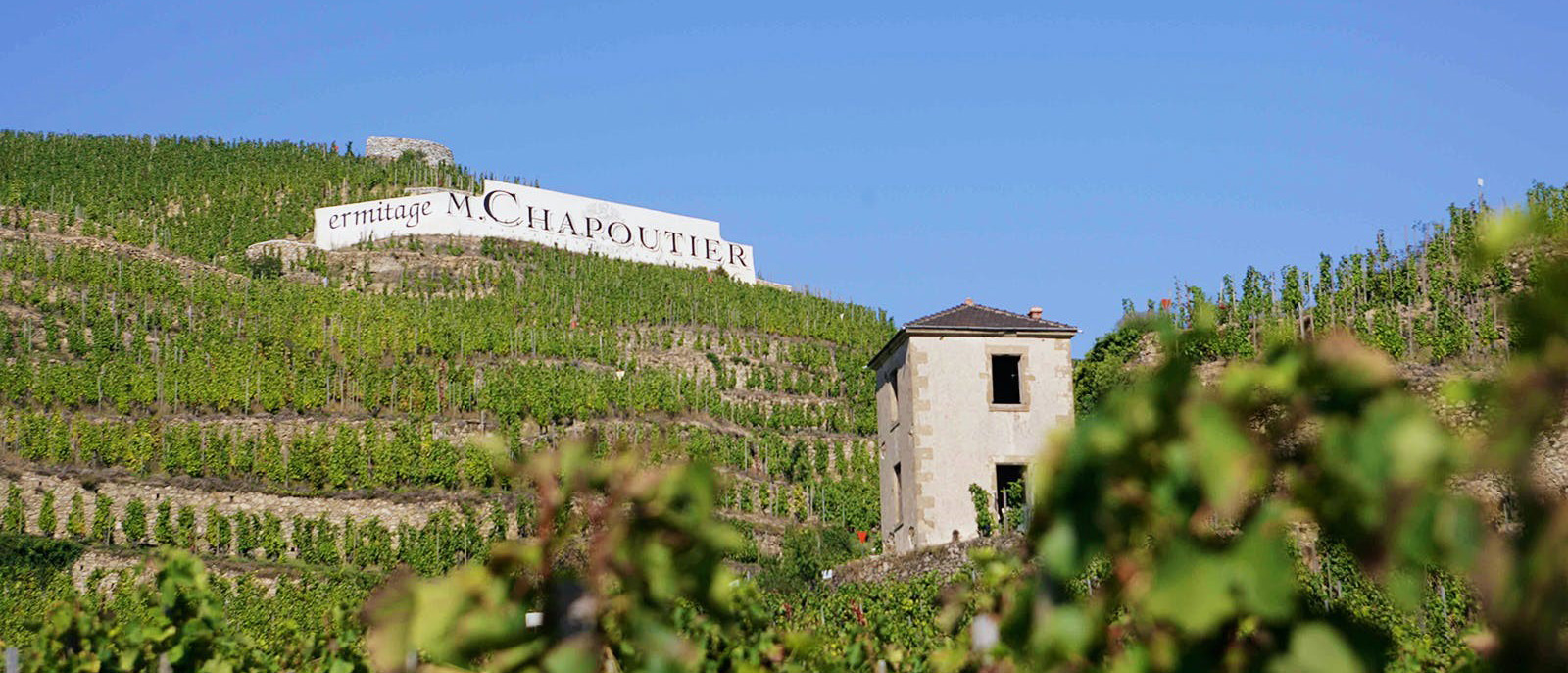 Chapoutier | Rhone | Wine Academy | Cult Wines