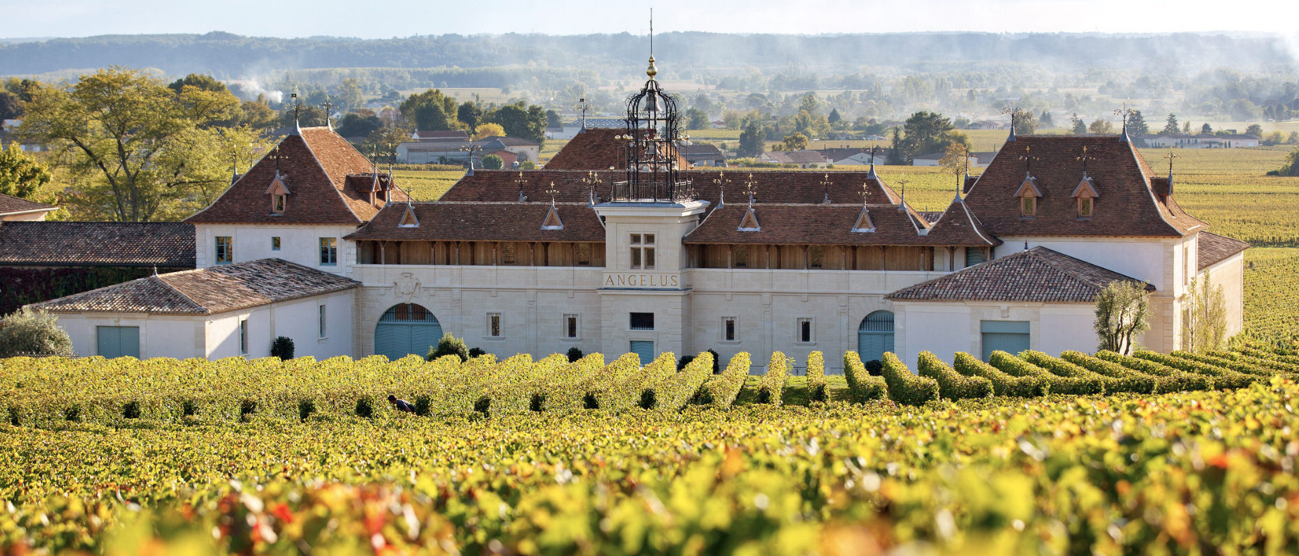 Chateau Angelus | Saint-emilion | Wine Academy | Cult Wines