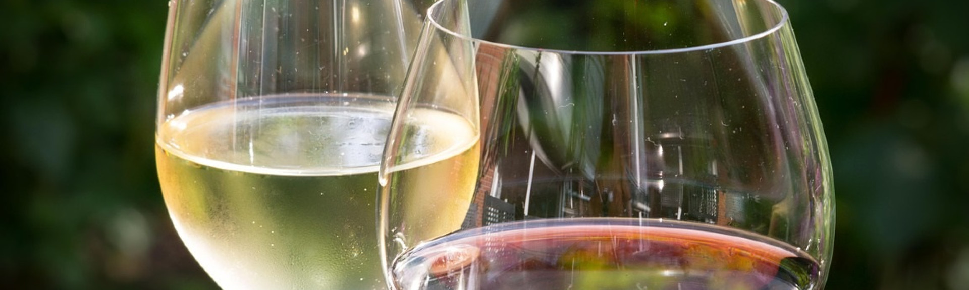 The nine primary styles of wine | Cult Wines