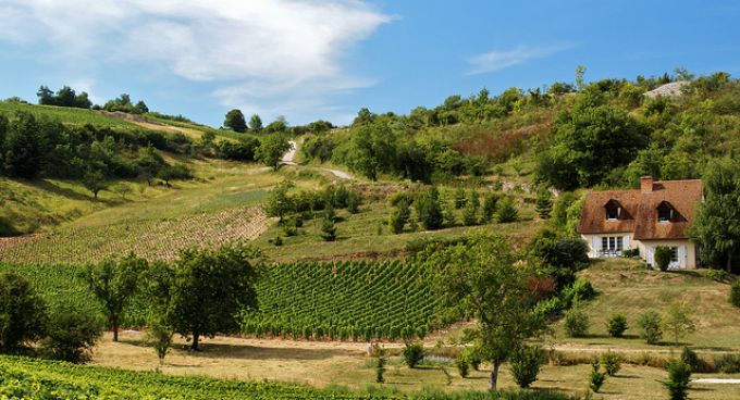 HDH ‘Celebration of Burgundy’ sale smashes record by $1.5m | Cult Wines