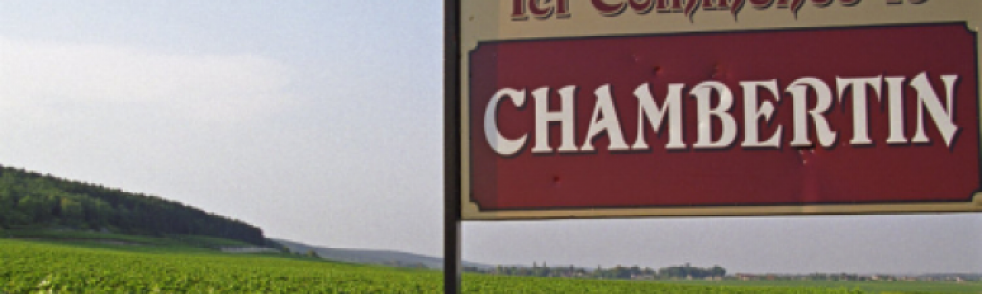 Spotlight on - Le Chambertin, Grand Cru | Cult Wines United States