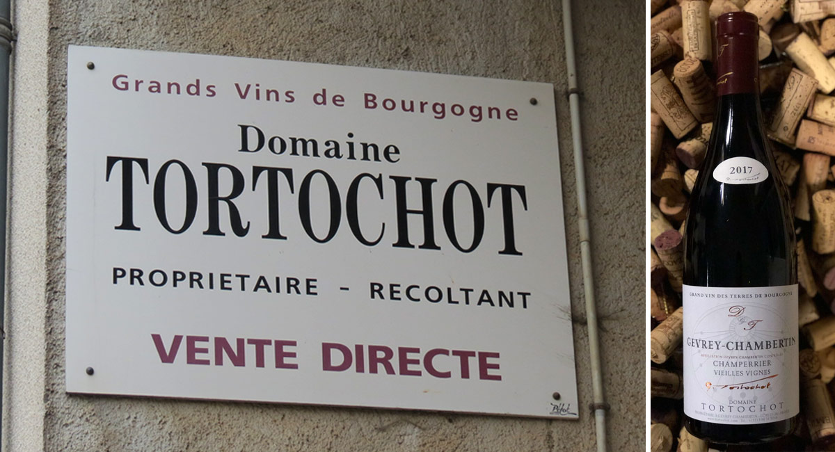 Domaine Tortochot - Burgundy 2019 En Primeur Producer Profile | Cult ...